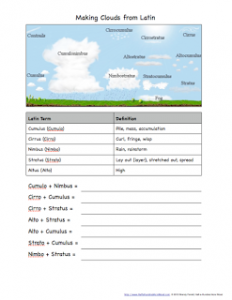 Latin Games & Activities - Compass Classroom