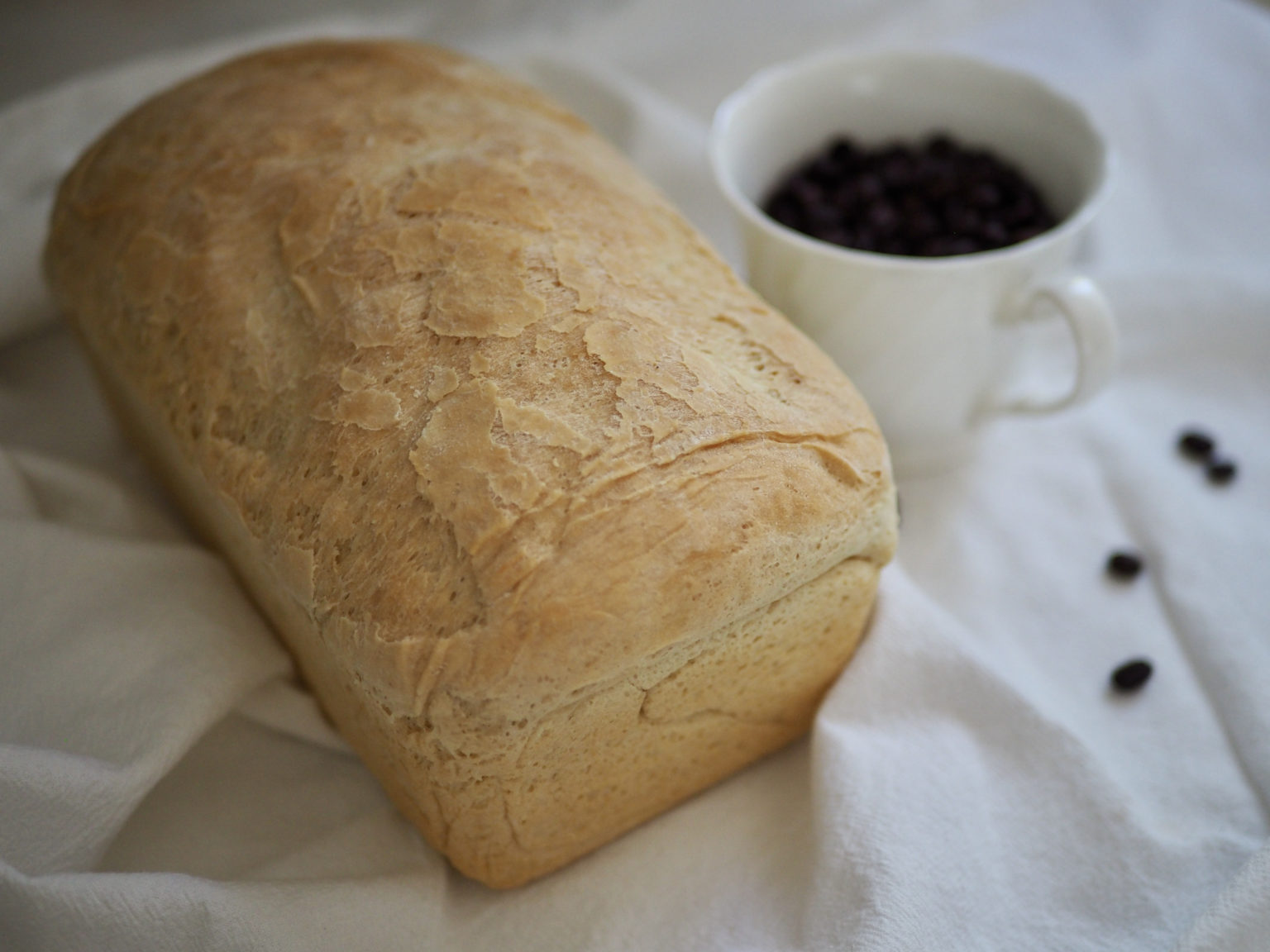 Union Army Rations | Recipes from American History