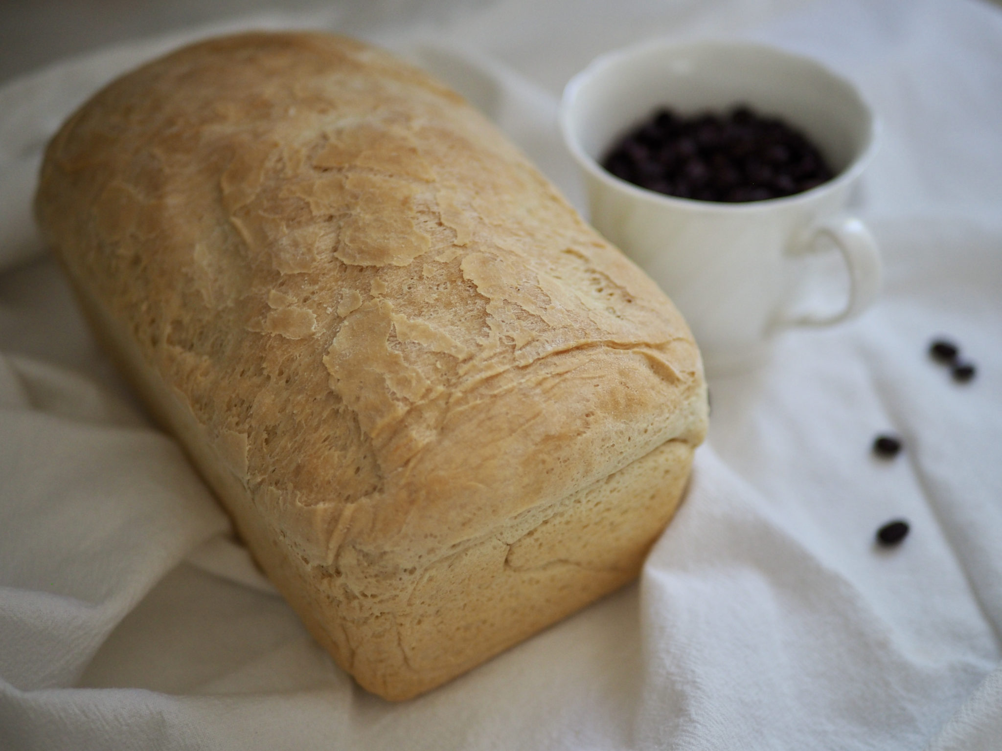 Union Army Rations | Recipes from American History