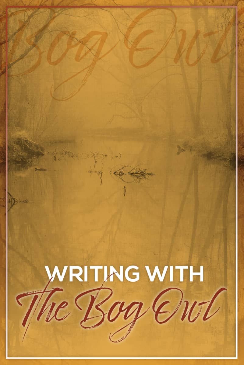 Writing With the Bog Owl - Creative Writing Course For Homeschool