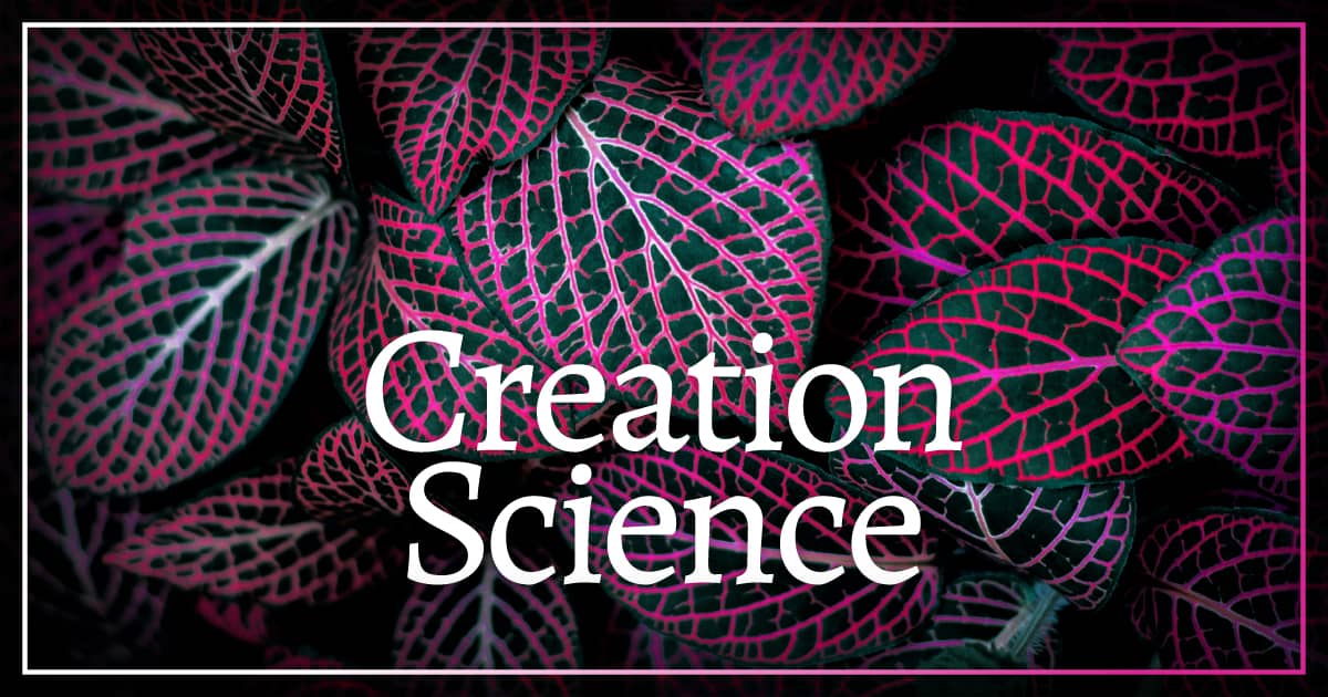 Creation Science Homeschool Curriculum Online Course