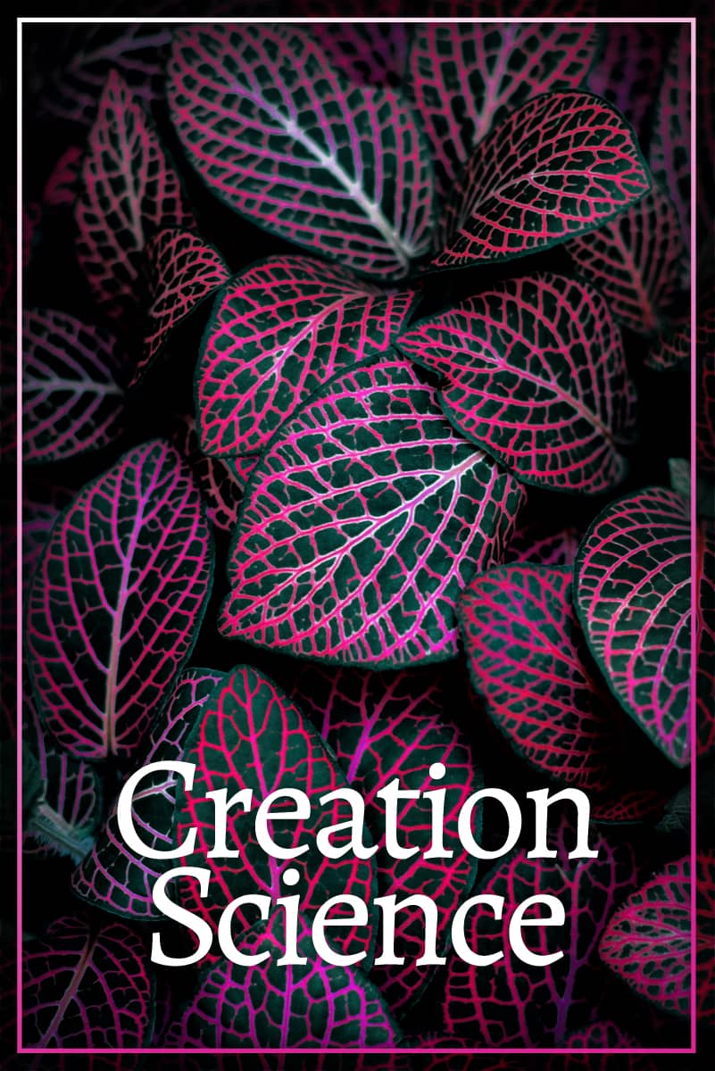 Creation Science Homeschool Curriculum Online Course
